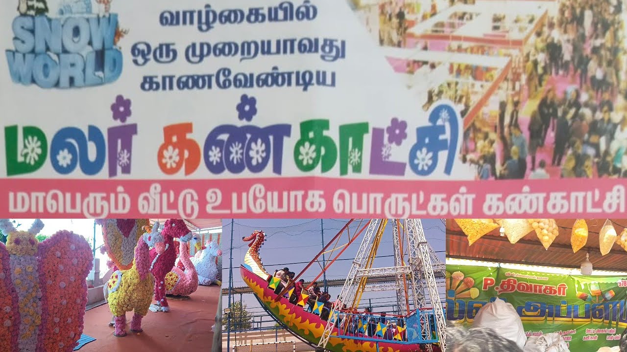 பல்லடம் மலர் கண்காட்சி | Palladam Flower Show | Palladam Flower ...