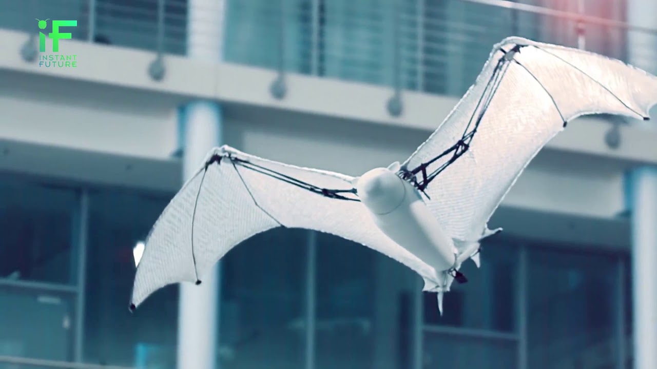 Biorobotica: se l'animale è robot - YouTube