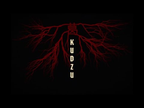 Kudzu | Short Film | Griffith Film School - YouTube