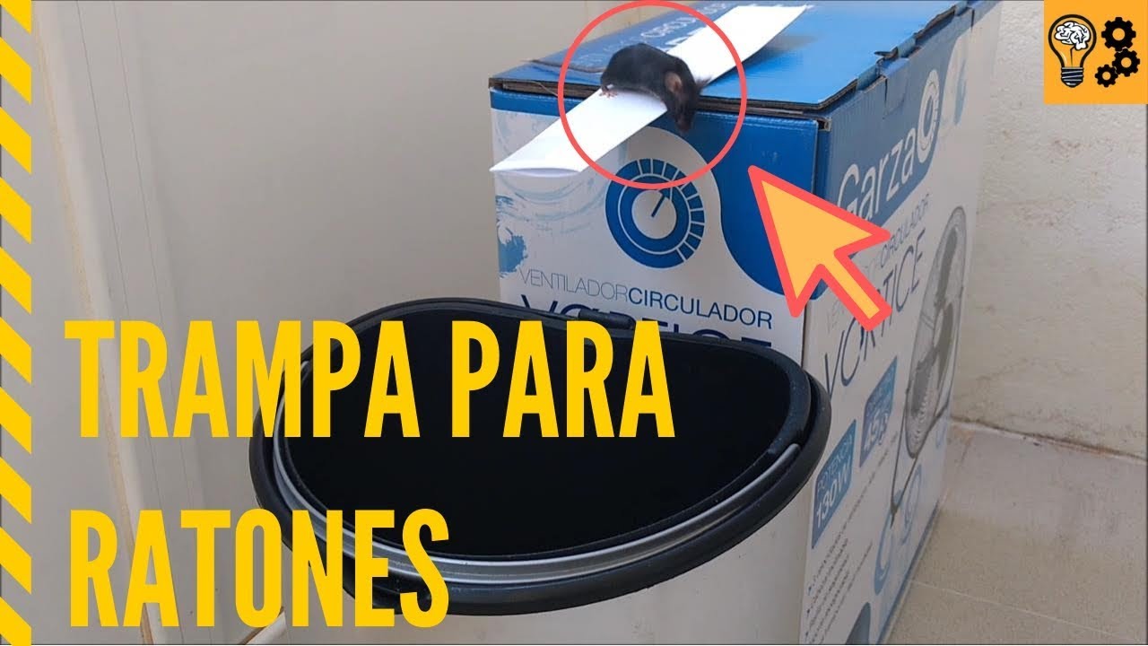 Sencilla trampa para ratones con un papel 🐀 Trucos | El Mago 2.0 - YouTube