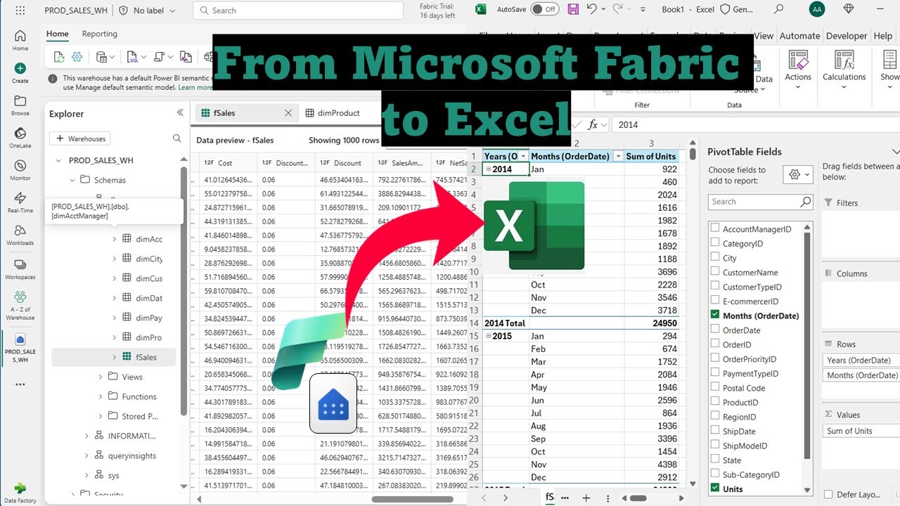 Get and Analyze Fabric Warehouse Data in EXCEL - YouTube