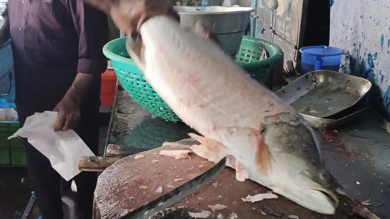 Kalanji fish കാളാഞ്ചി കട്ടിംഗ് - YouTube