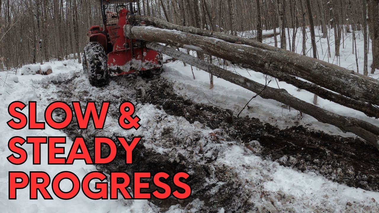 Tractor logging to make a road - Part 8? - YouTube