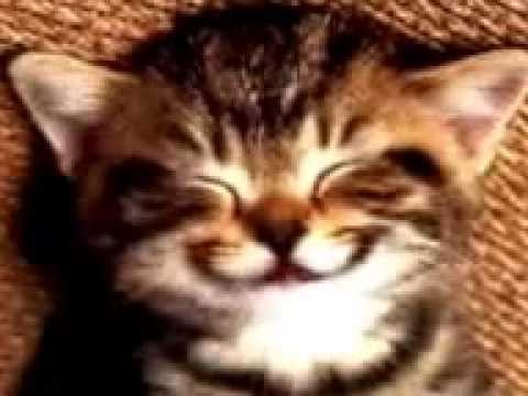 ahibek fi saba7 hh
