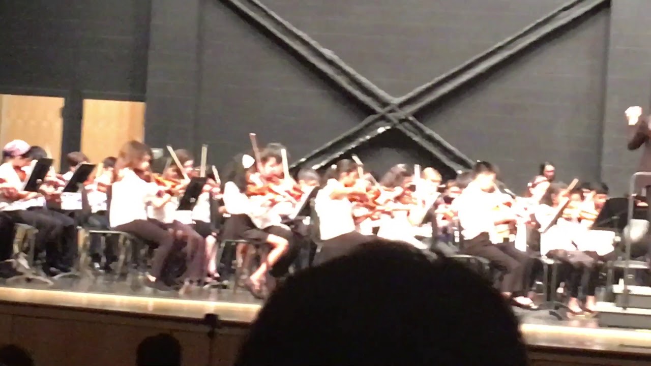 My first performance at the district orchestra! #music #love #teamwork ...