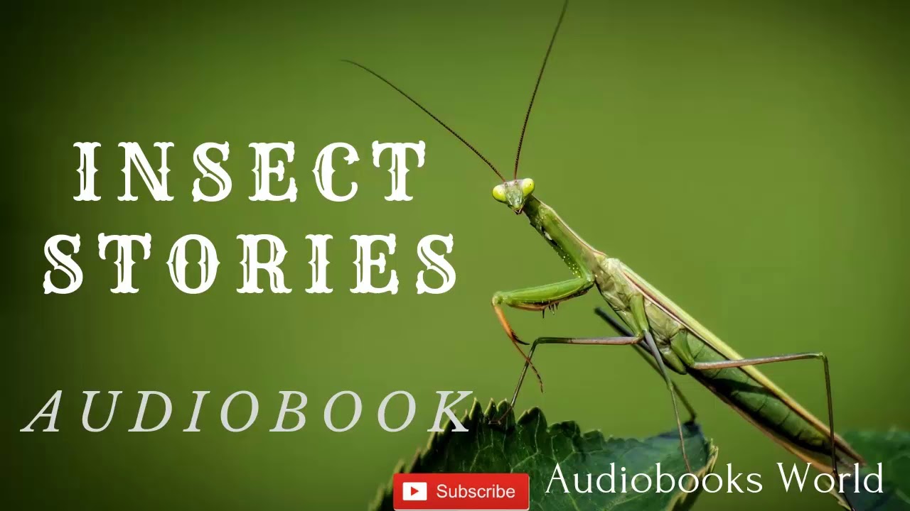 Audio book for children - insect stories audiobook - YouTube