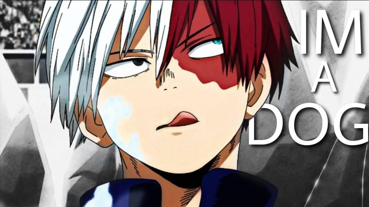 Bakugo | Todoroki 「AMV」↬I'm A DOG [BNHA] - YouTube