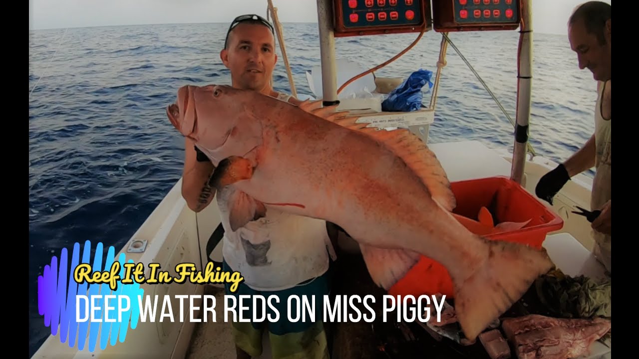 Reef Fishing FNQ - Deepwater Reds on Miss Piggy - YouTube