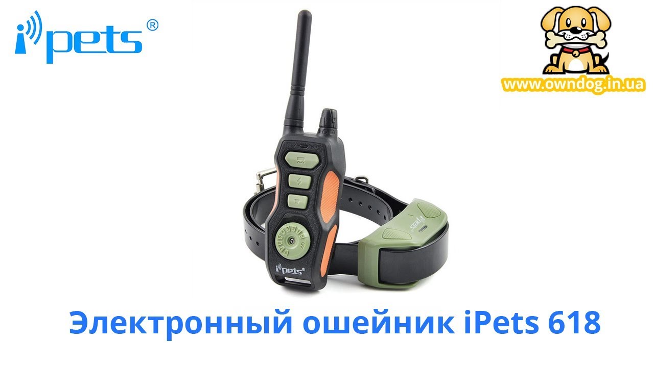 Электрический ошейник iPets 618 купить в Украине - YouTube