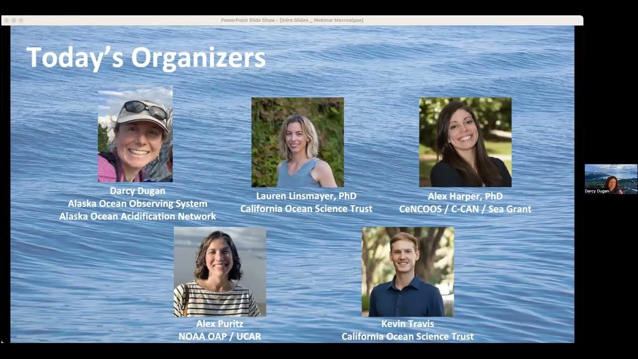 Can Kelp Help Exploring Macroalgae Cultivation As A Potential Mcdr And Climate Mitigation