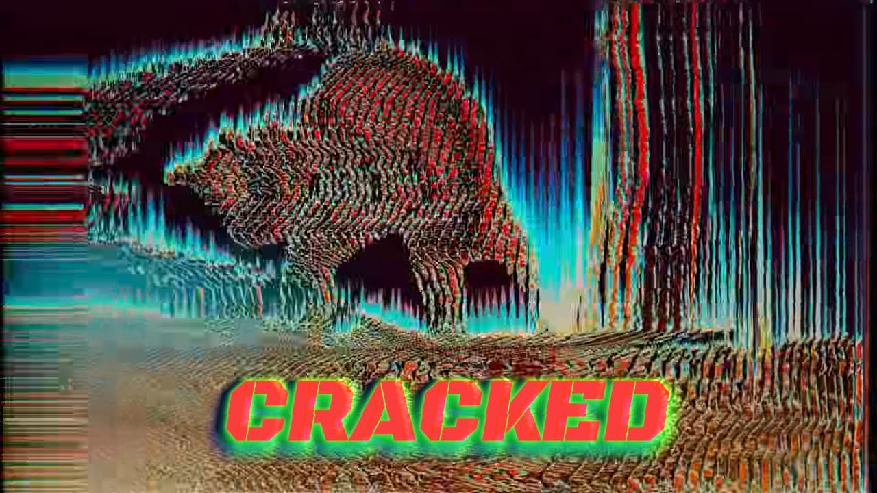 3121534312 - YouTube