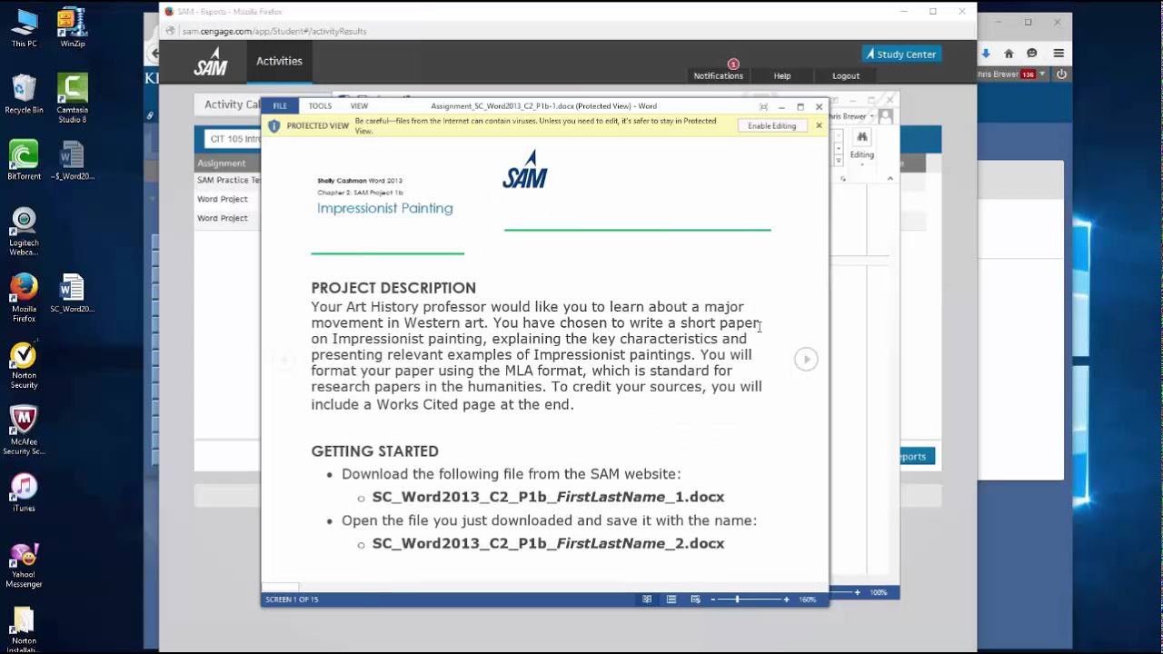 Doing a SAM Project - YouTube
