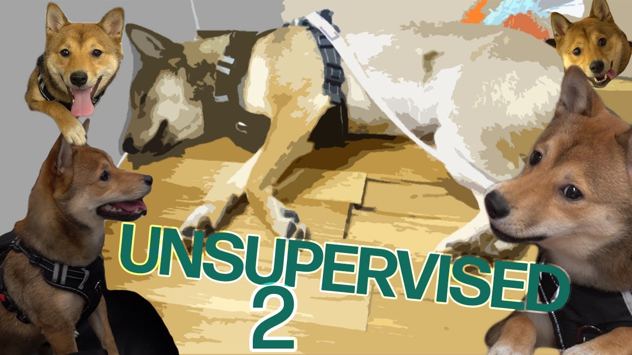 Unsupervised 2 - Aiko Back in the Office - YouTube