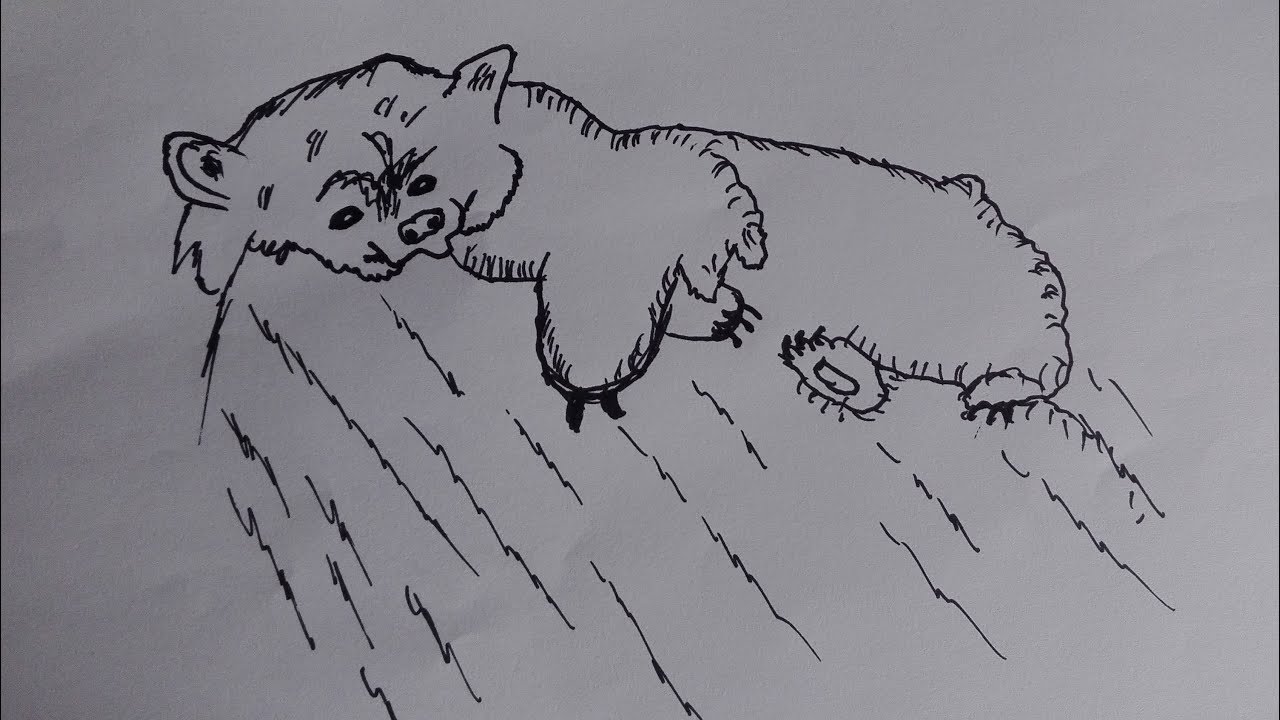 How to draw a bear-draw a bear step by step-draw a bear standing up ...