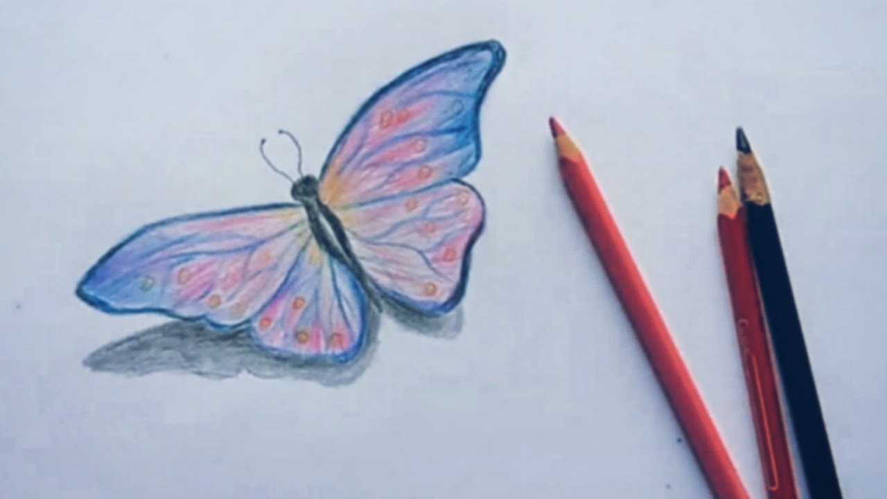 How to Draw 3D butterfly | painting | drawing | Art - YouTube