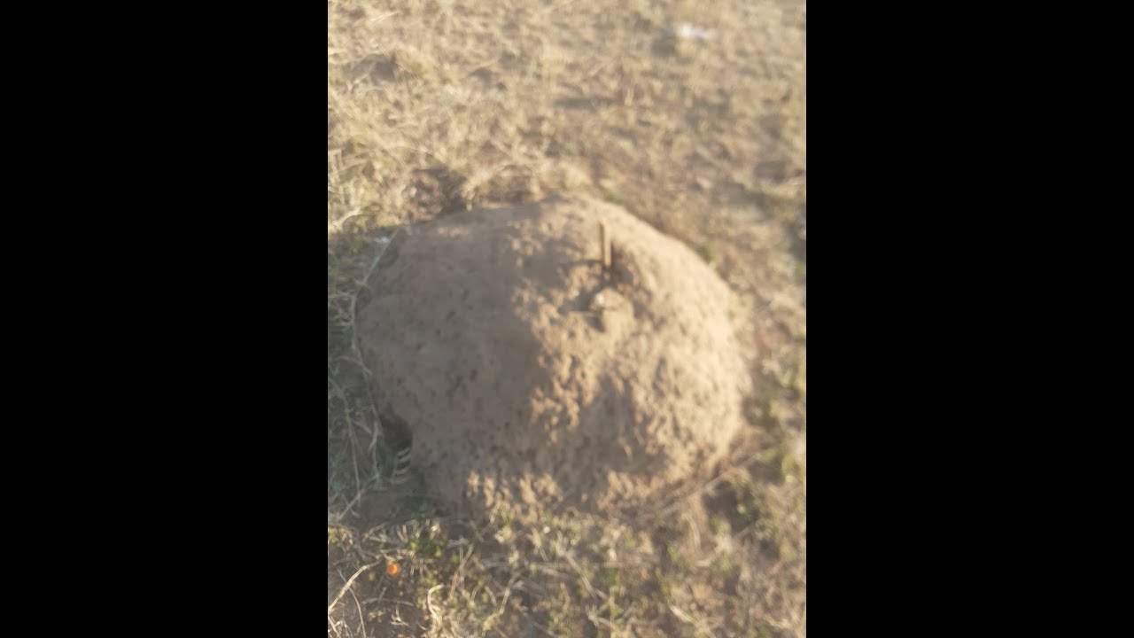 ISIDULI NEMISEBENZI YASO | Isiduli - Spiritual Uses | ukuphahla ...