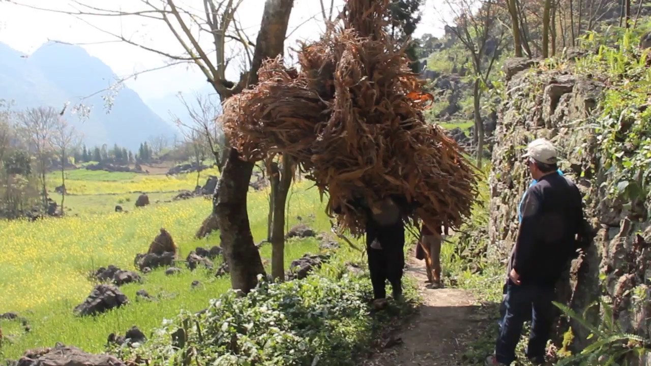 Gui Zhou China סין גווי ג`ואו - YouTube