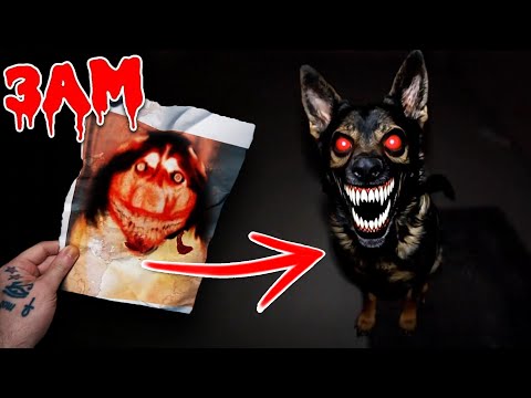 My Dog Turned into SMILE DOG at 3AM!! (Summoning Smiledog.jpg) 