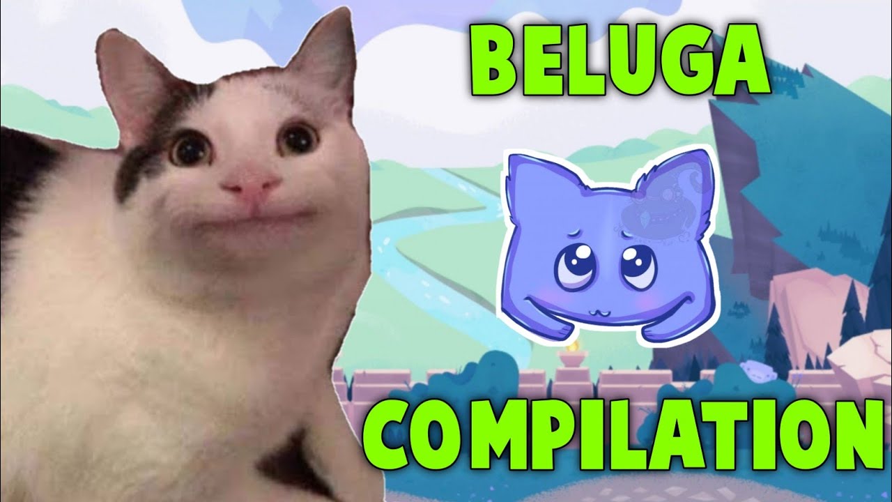 Best Beluga Compilation... - YouTube