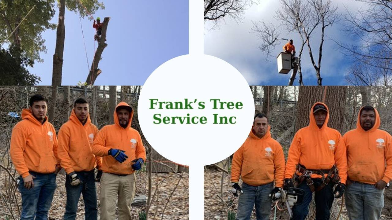 Frank’s Tree Service Inc - YouTube