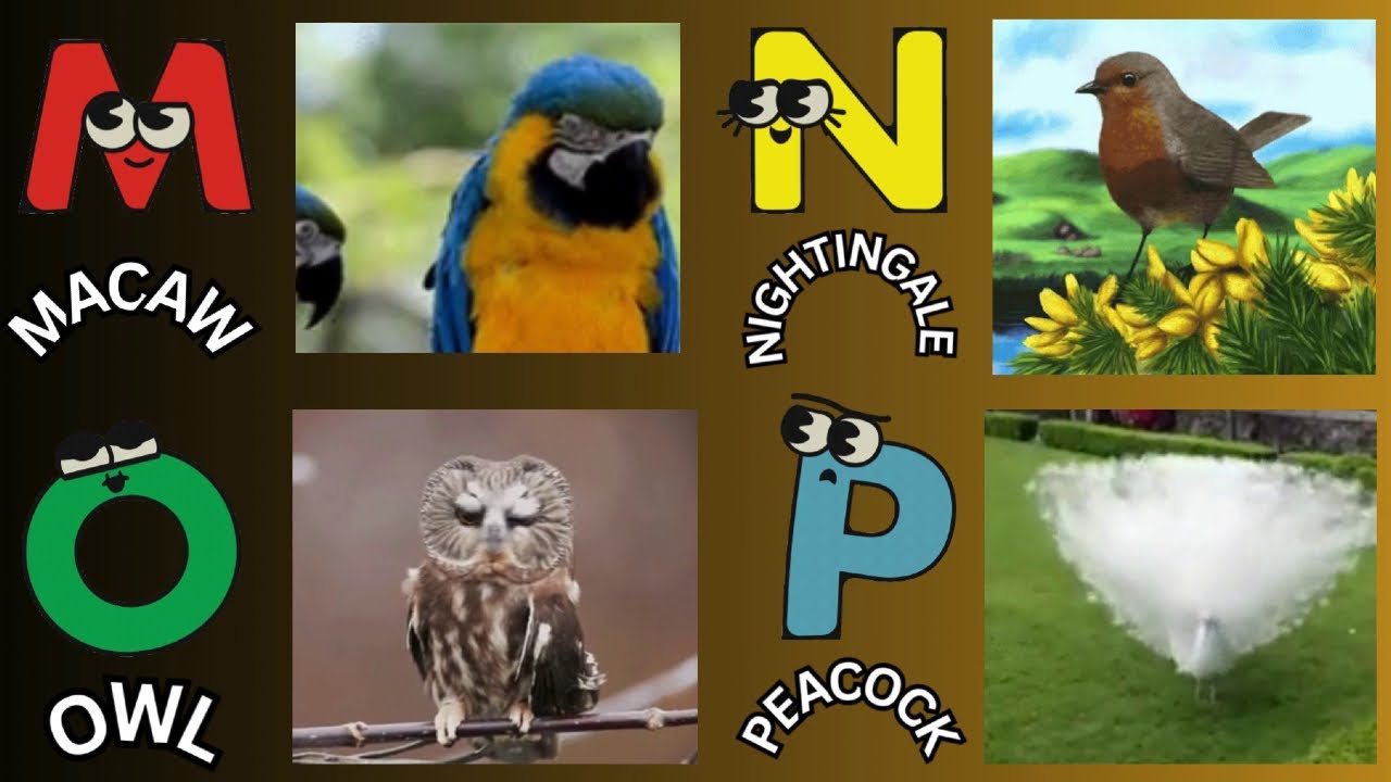 ABC Song | Birds ABC Song | Phonics for Kids | Baby Alphabet Letters ...