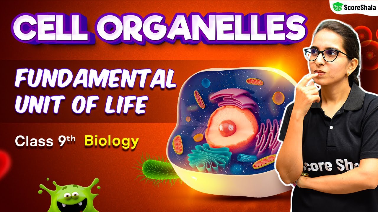 Cell Organelles - Class 9 Biology Chapter 1 | The Fundamental Unit of ...