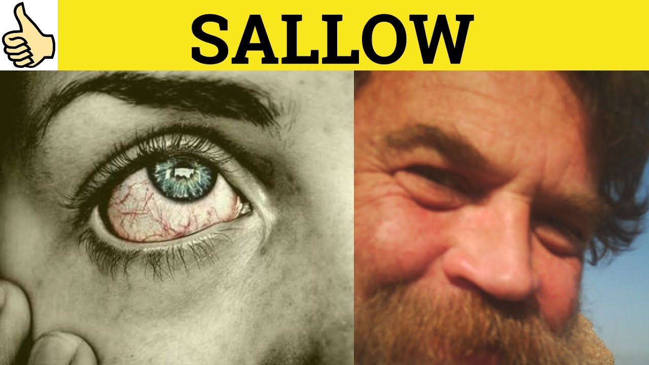 🔵 Sallow Means - Sallow Meaning - Sallow Examples - Sallow Defined ...