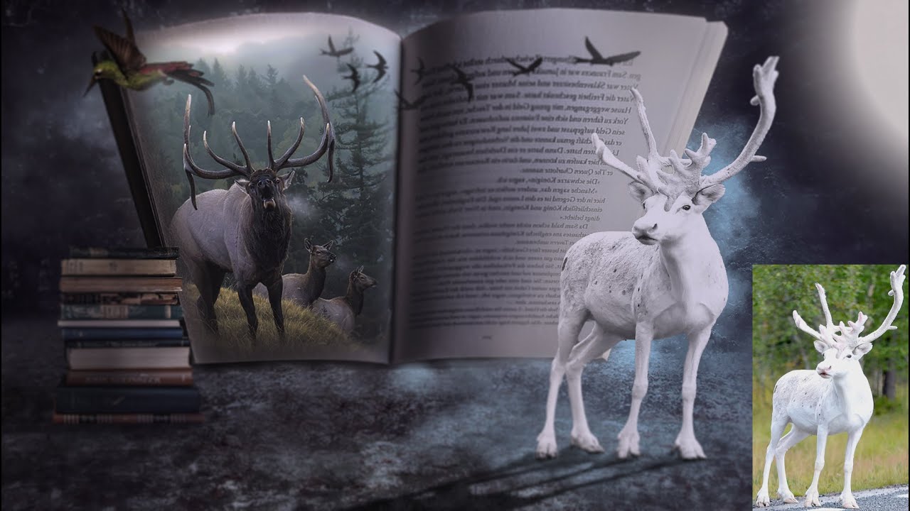 Speed Art 17 |white deer - photoshop manipulation tutorial - YouTube