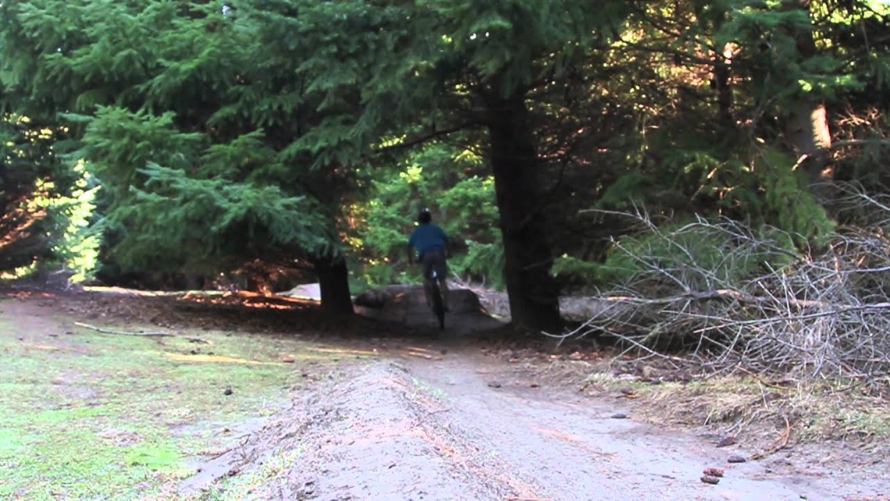 Sticky Forest Wanaka - 2 - YouTube