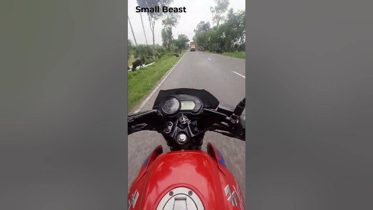 Pulser LS 135 ride #shorts - YouTube