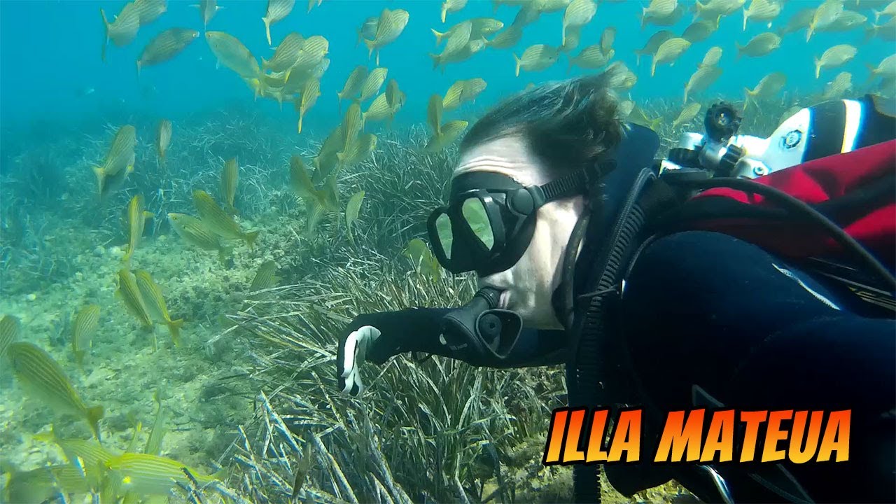 L'Escala Solo Diving @ Illa Mateua - YouTube