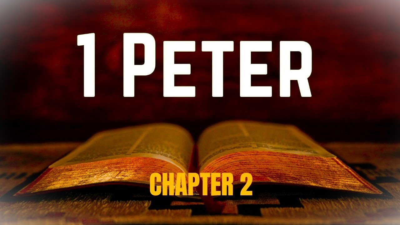 1 PETER CHAPTER 2 - YouTube