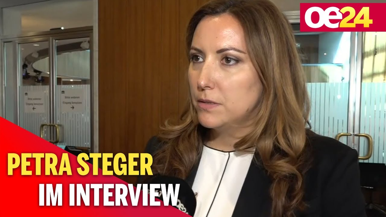Petra Steger (FPÖ) | SPÖ stellt Misstrauensantrag gegen Regierung - YouTube