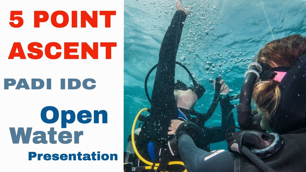 5 Point Ascent - PADI IDC Open Water Presentation - YouTube