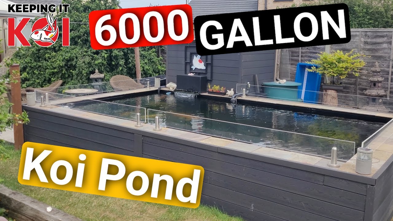 Darren and Jane's 6000 Gallon Koi Pond at the PKC Meet & Preparing the ...