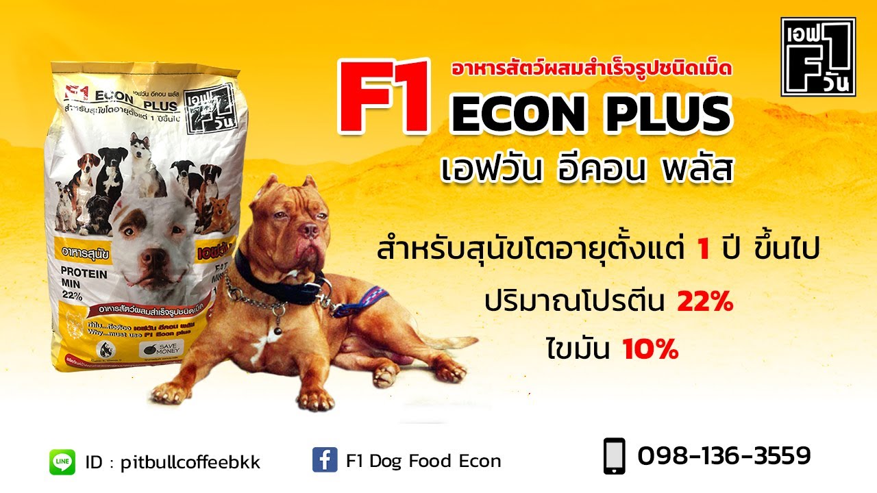 เอฟวัน อีคอน พลัส อาหารสุนัข อาหารหมา F1 ECON PLUS อาหารเม็ดสุนัข - YouTube