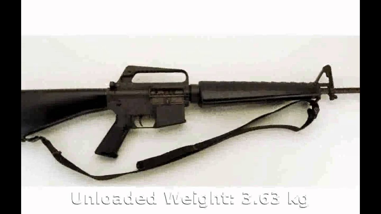 Colt AR-15 .223 Remington Rifle - YouTube