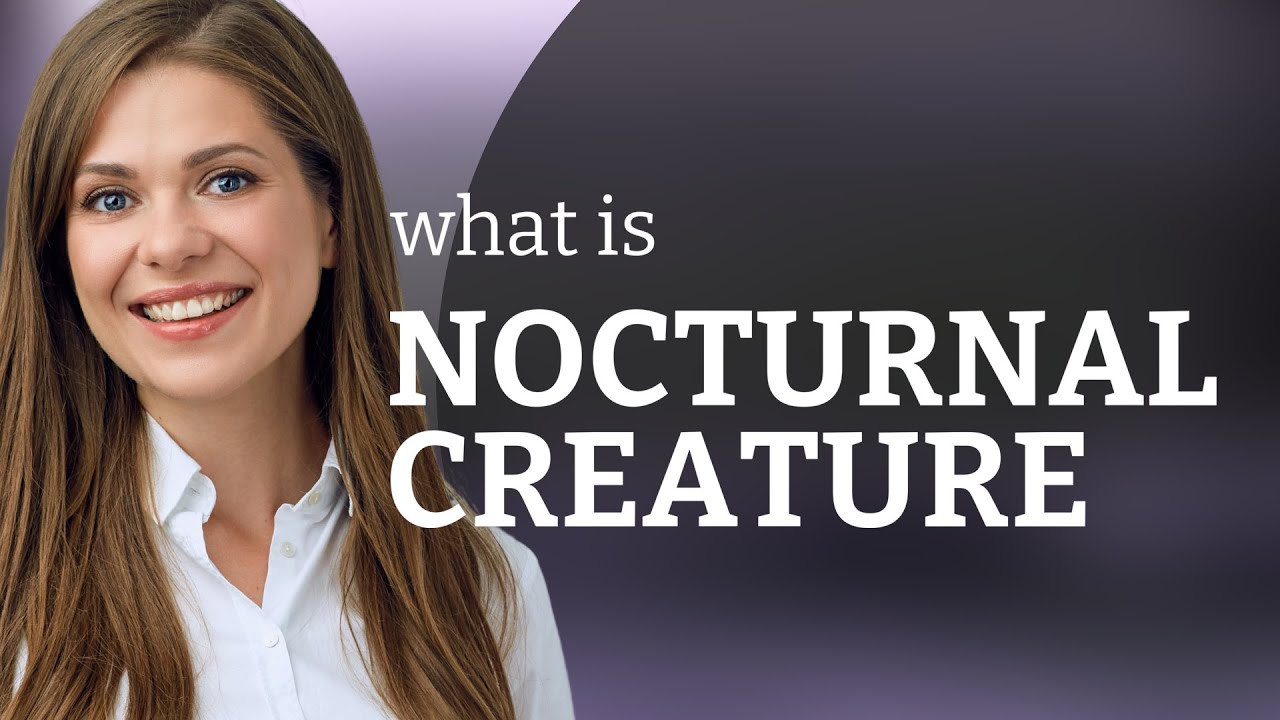Exploring the Night: Understanding Nocturnal Creatures - YouTube