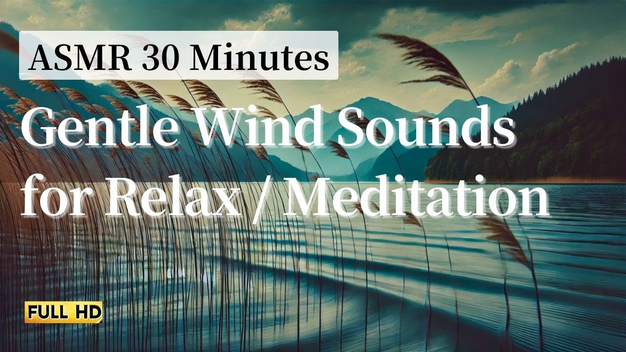 30 Minutes ASMR Gentle Wind Natural Sounds for Relaxation and Focus ...