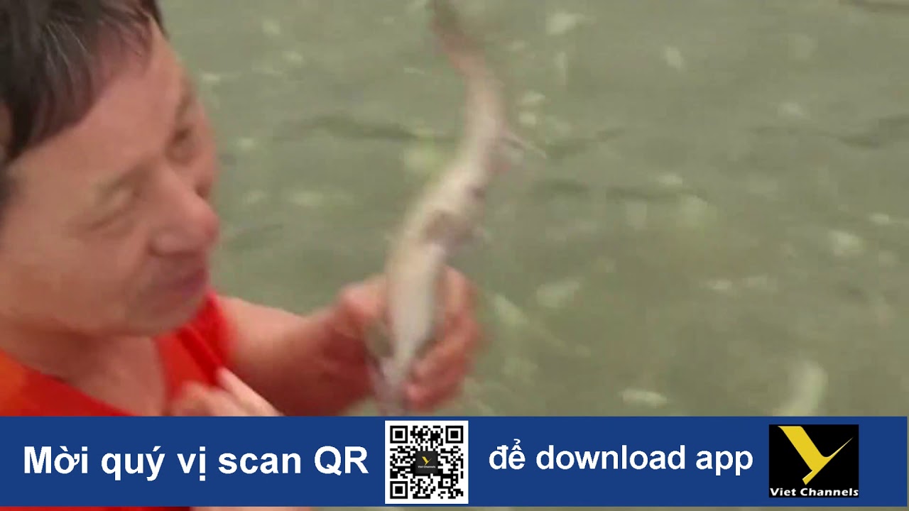 Bản tin Cuối ngày của Đài truyền hình Vietoday ngày Jan 28 2020 - YouTube