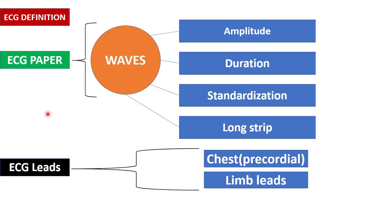 Introduction to ECG paper and ECG leads - YouTube