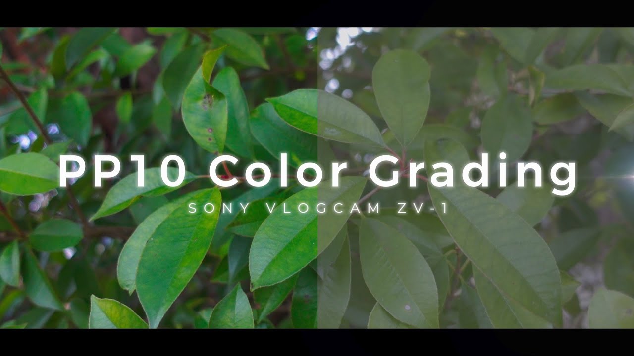 PP10 Color Grading - SONY S-Log LUT - YouTube