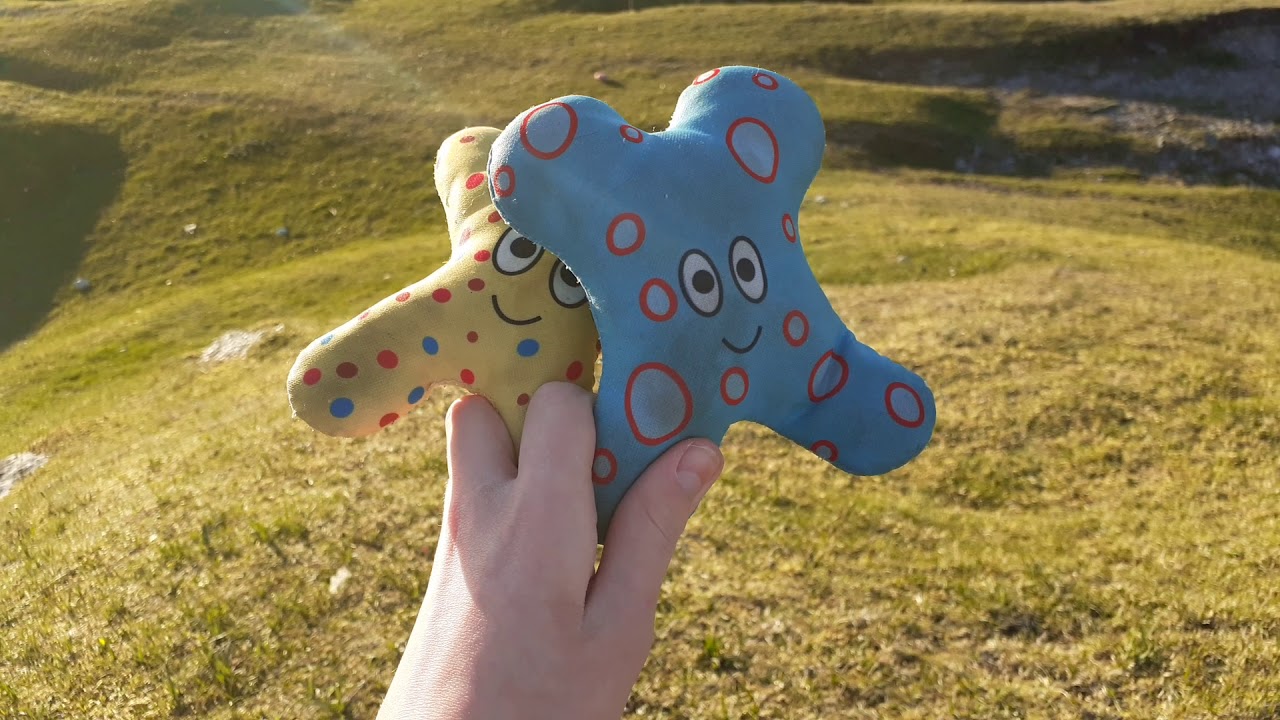 The Haahoos Jumping On The Mountain Grass - YouTube