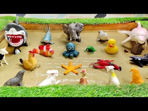 Muddy Ocean Animals and Farm Animals Epic Adventure for Kids ...
