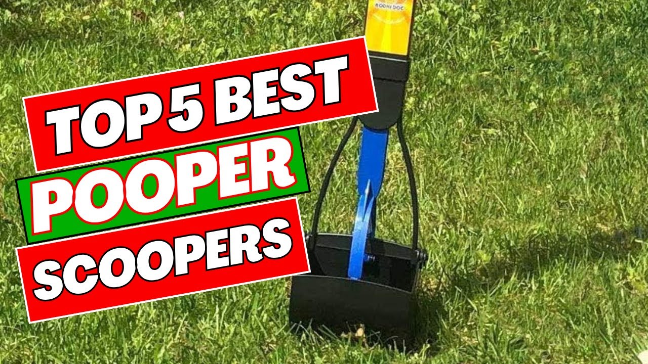 Top 5 Best Pooper Scoopers in 2025 - YouTube