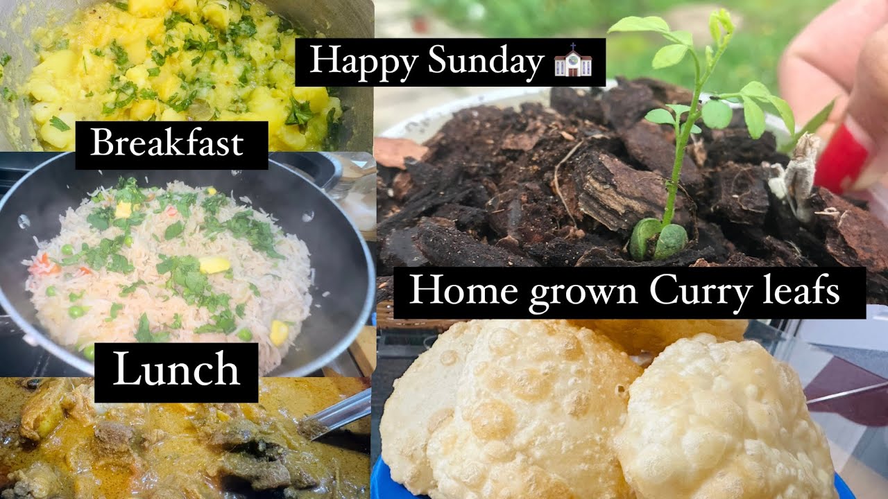 Sunday breakfast and lunch| My curry leaf story| love for puri| Pulao ...