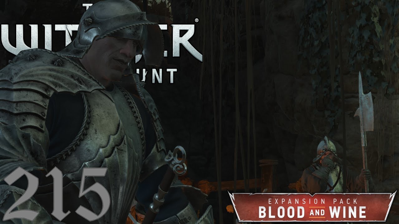 Useless Ducal Guard | The Witcher 3: Wild Hunt #215 - YouTube