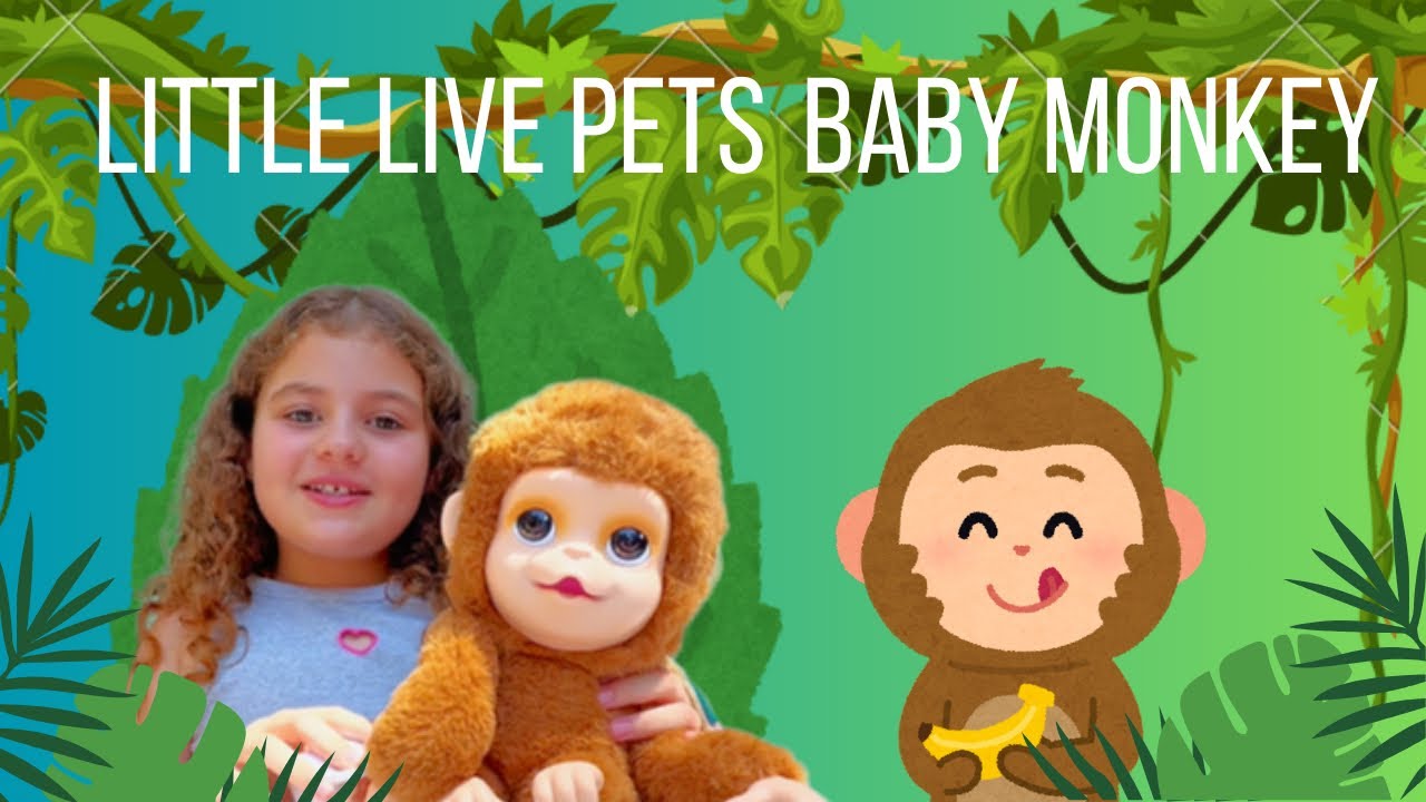 Unboxing and Playing with Little Live Pets Baby Monkey - Adorable Fun!🐵 ...