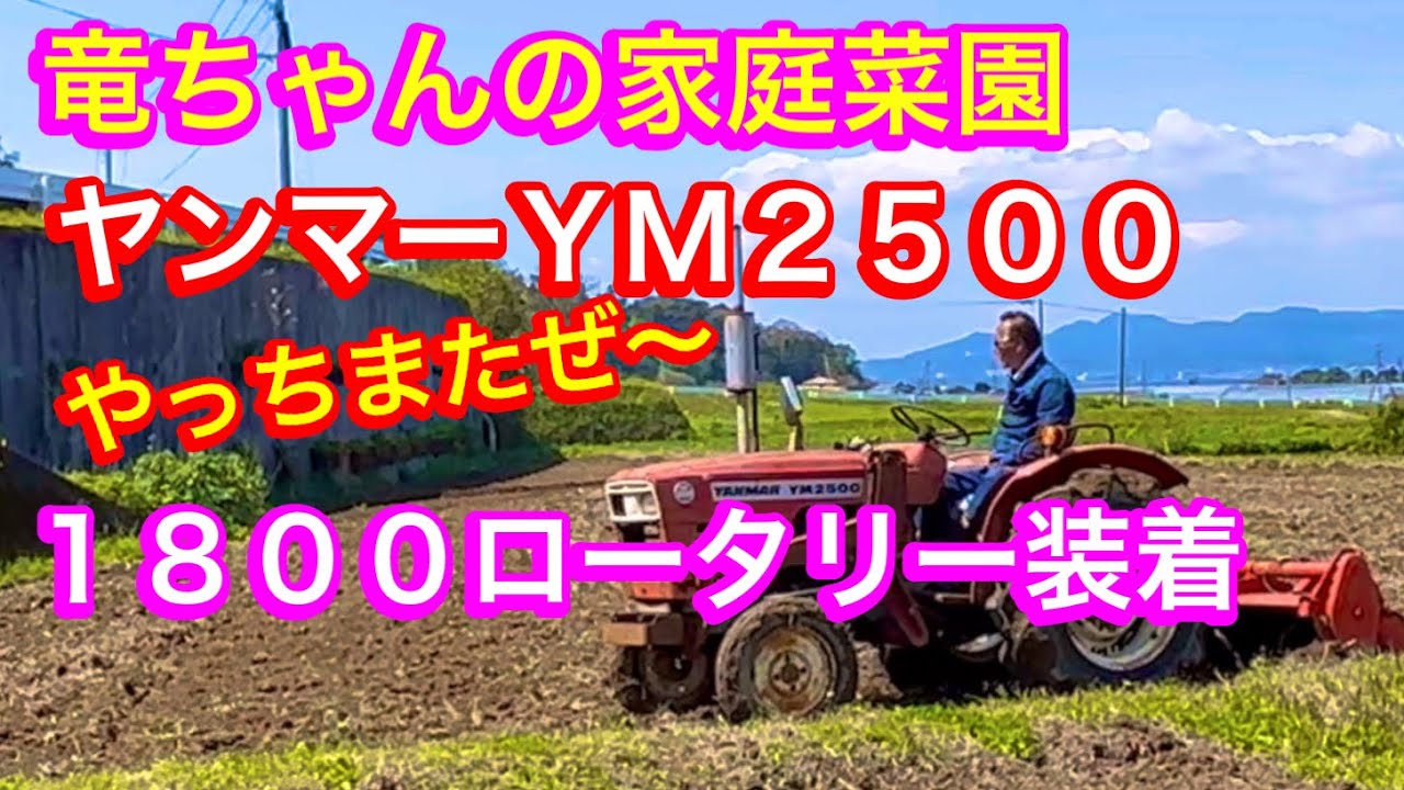 322、家庭菜園 ヤンマーYM2500に 1800ロータリー装着して 田んぼの下準備 ＃農業 #家庭菜園 - YouTube