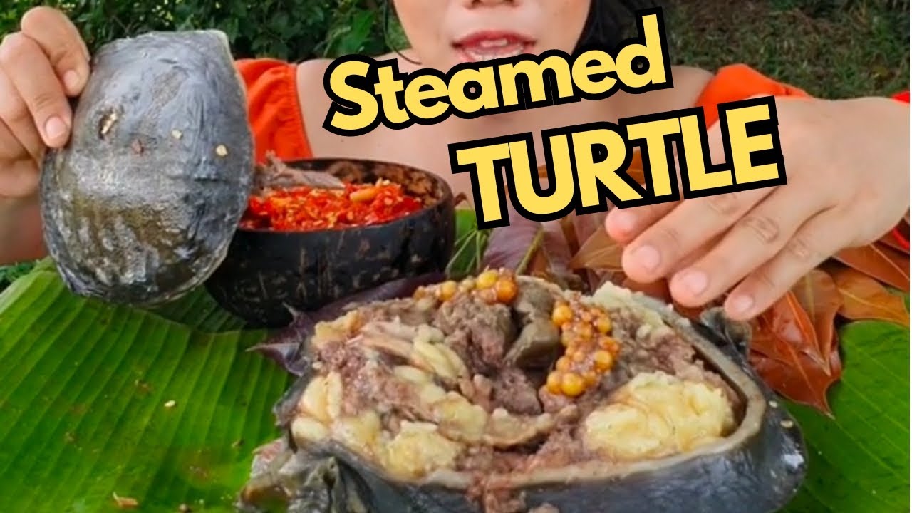 Steamed soft shell turtle | Jin Su - YouTube